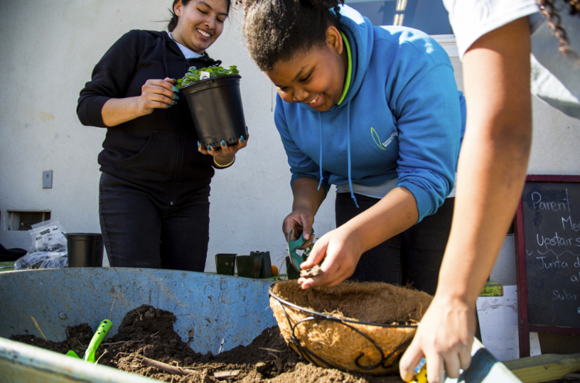 Our School – Environmental Charter Schools