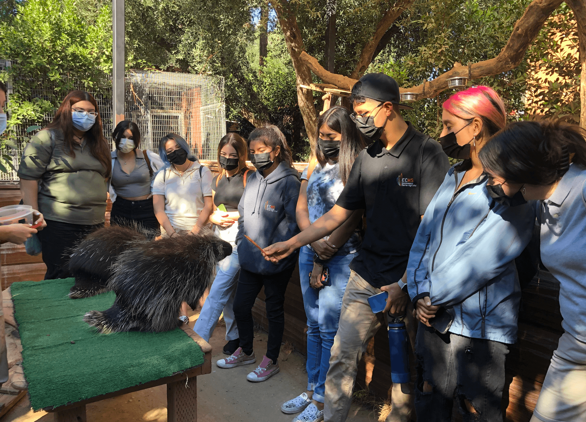 A Closer Look at our ECS Strategic Priorities 2021-2022 – Environmental ...